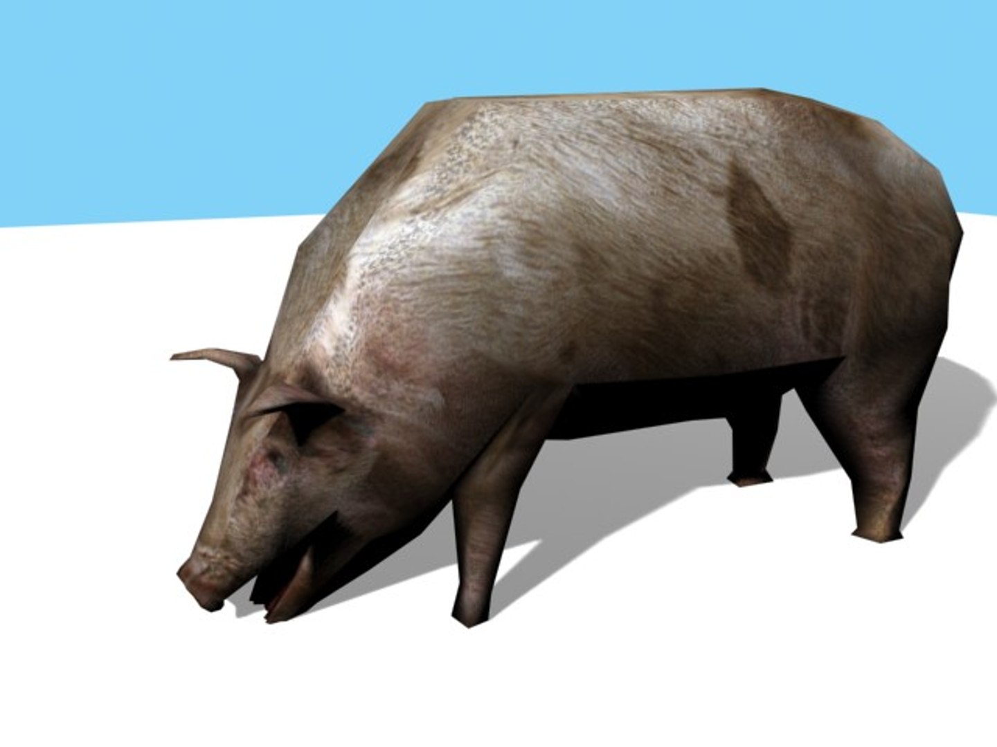 Pig Games 3d Model