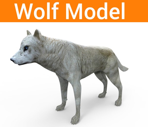 Wolf 3D Models for Download | TurboSquid