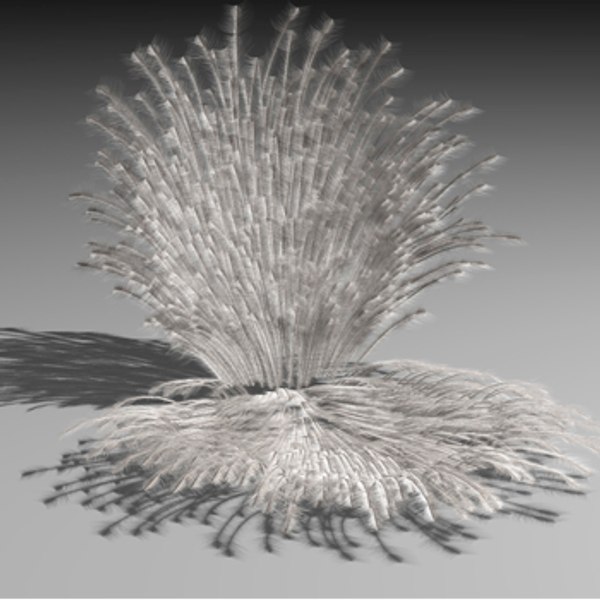 3D Feather Models | TurboSquid