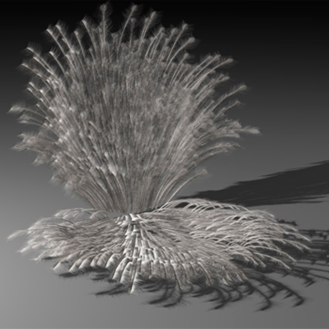 White Feather Shell 3d Model