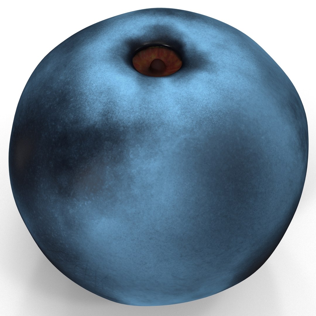3d Blueberry 2