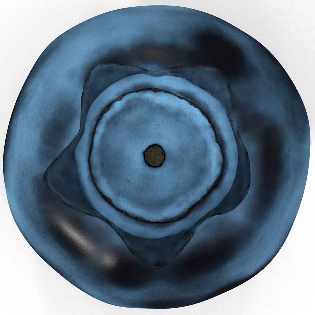 3d Blueberry 2
