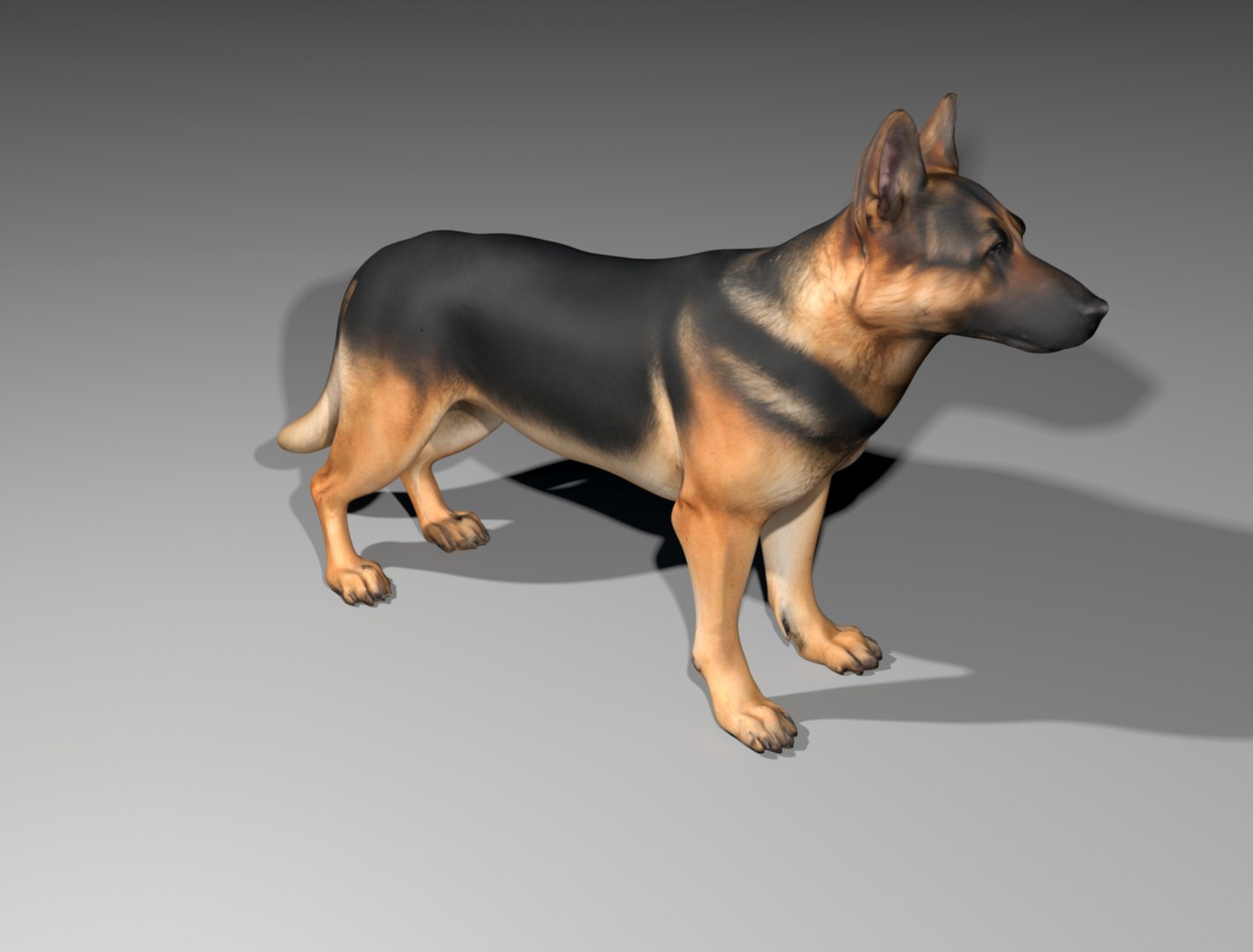 Realistic German Shepherd 3D Model 3D Model - TurboSquid 2333629