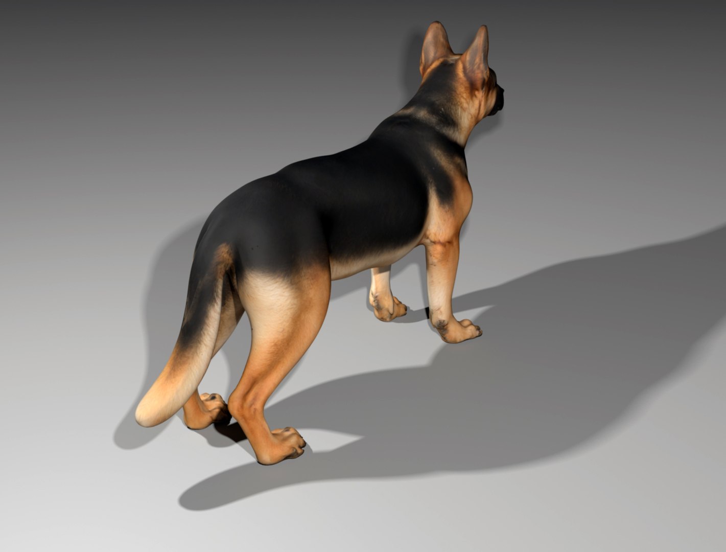 Realistic German Shepherd 3D Model 3D Model - TurboSquid 2333629