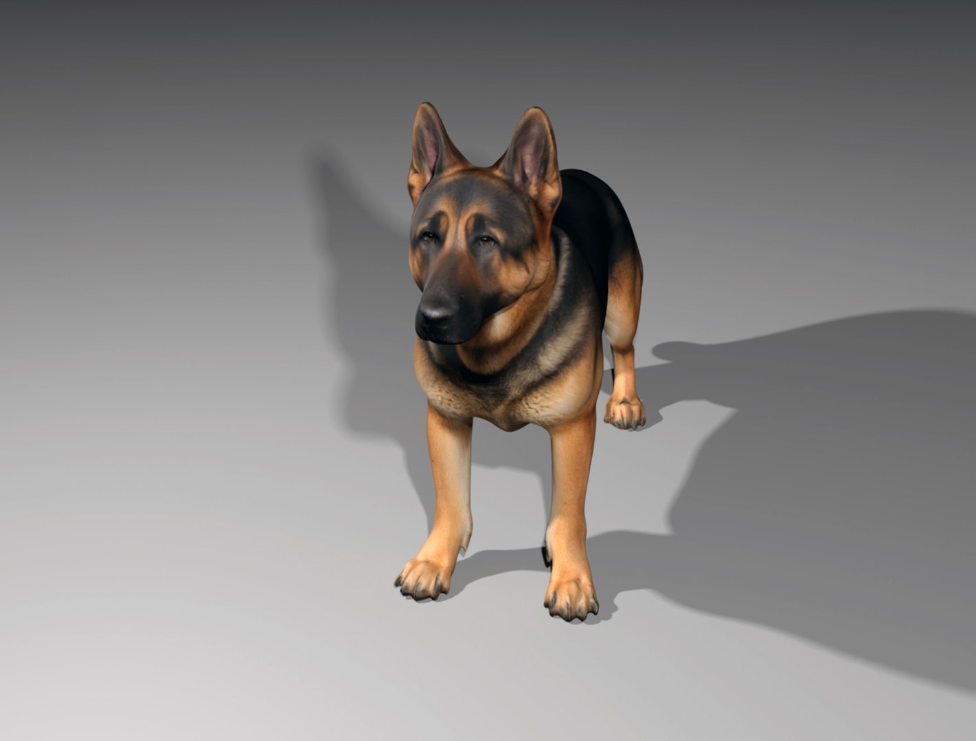 Realistic German Shepherd 3D Model 3D Model - TurboSquid 2333629