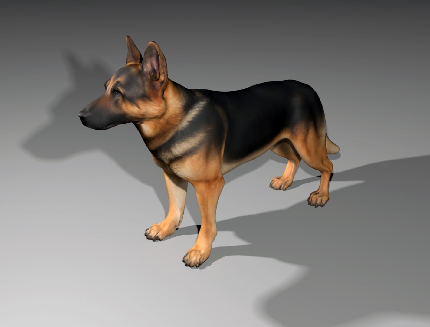 Realistic German Shepherd 3D Model 3D Model - TurboSquid 2333629