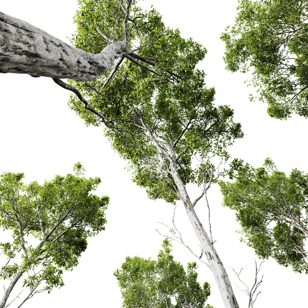 3D 6 Different SETS Of Tree SET VOL11 Model - TurboSquid 2141436