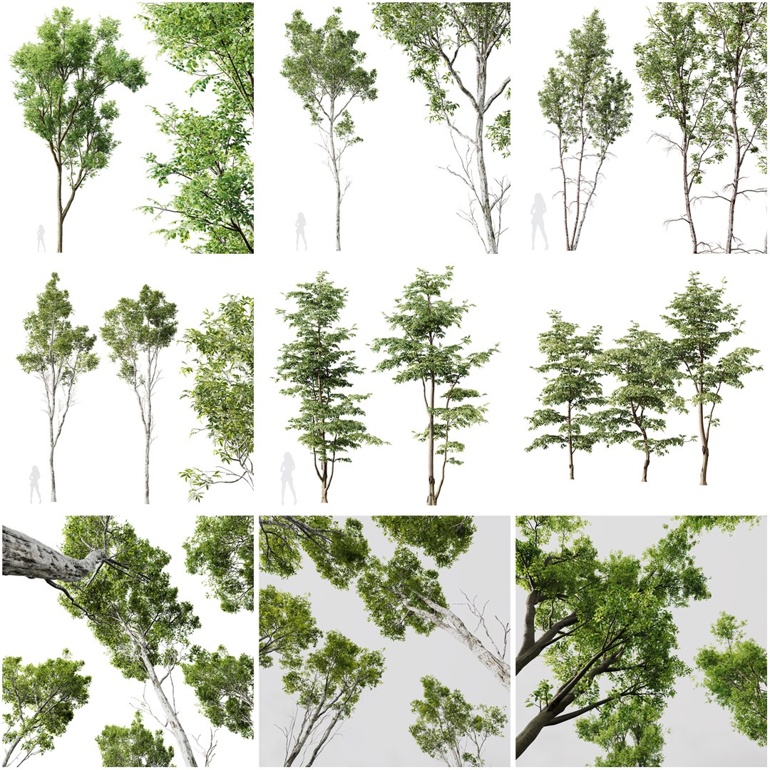 3D 6 Different SETS of Tree SET VOL11 model - TurboSquid 2141436