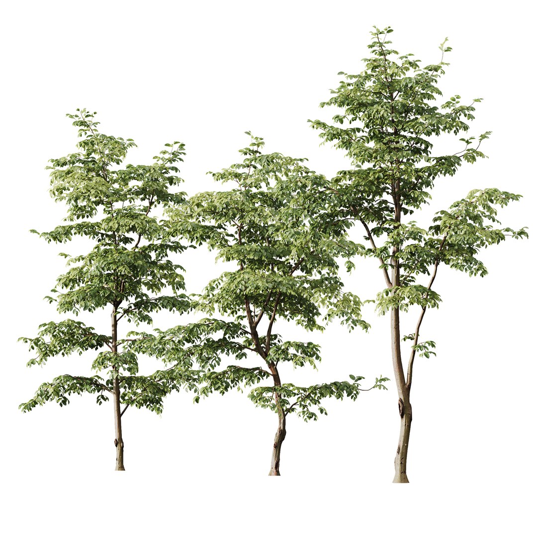 3D 6 Different SETS Of Tree SET VOL11 Model - TurboSquid 2141436