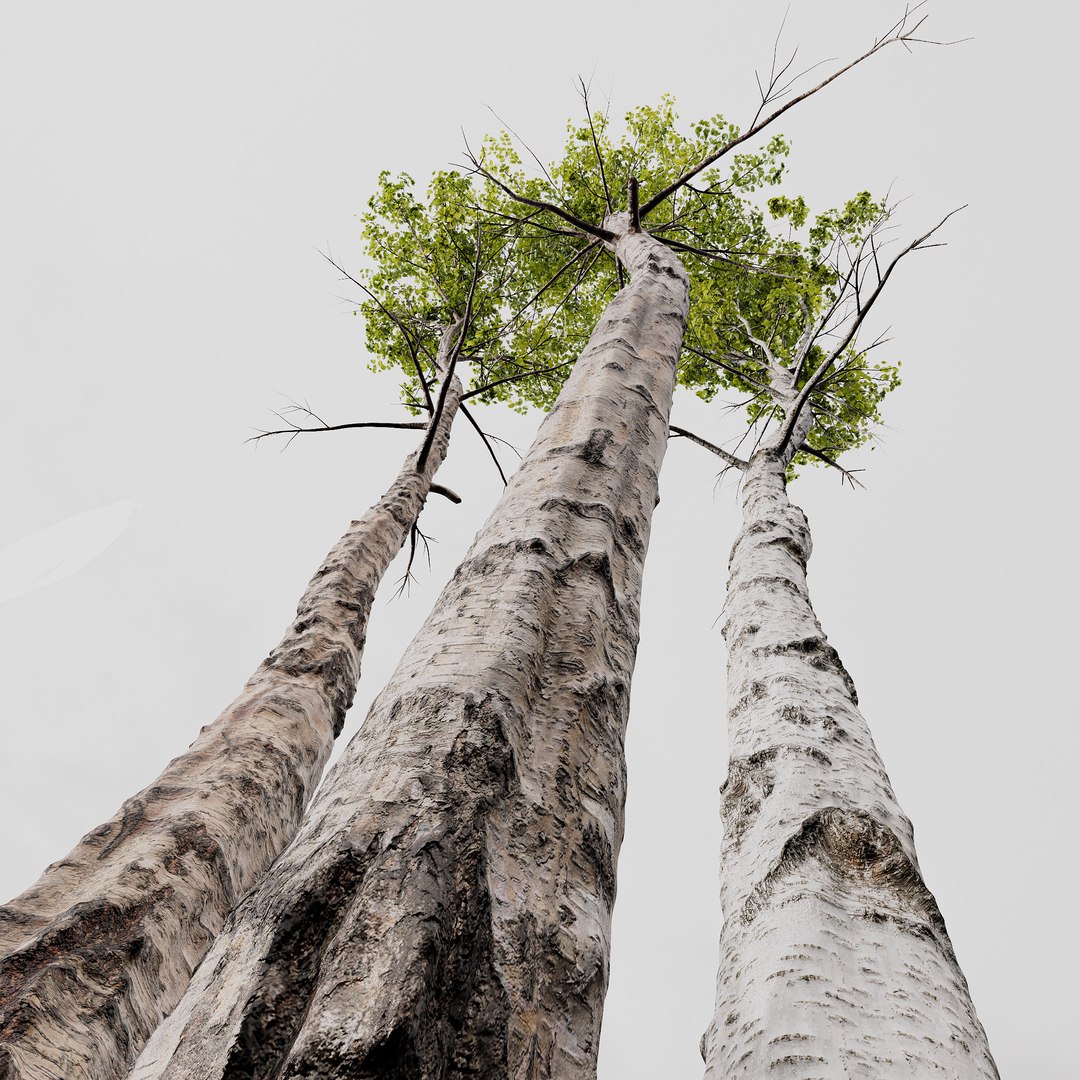 3D 6 Different SETS Of Tree SET VOL11 Model - TurboSquid 2141436