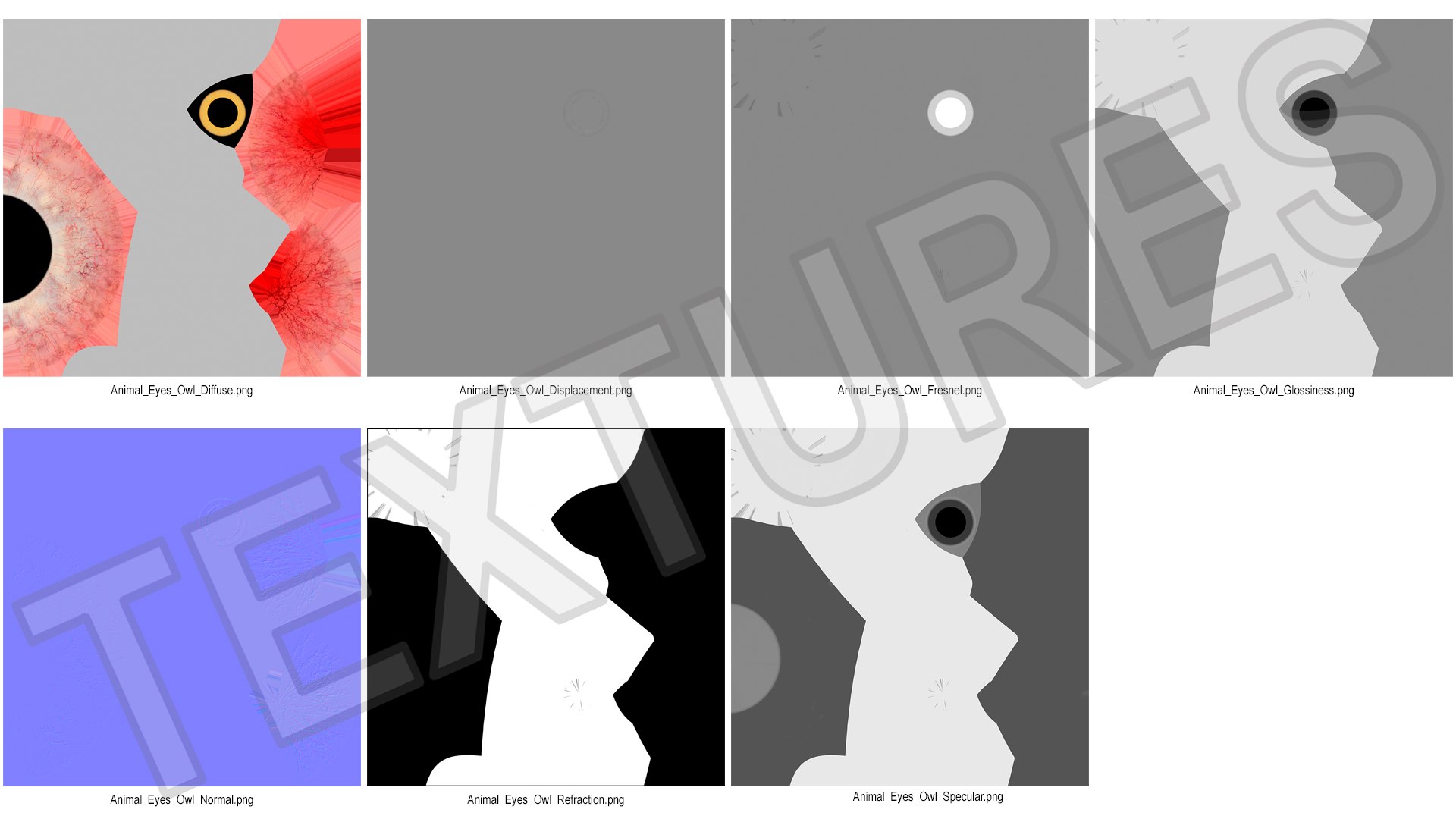 3D Realistic Owl Eye - TurboSquid 2196869