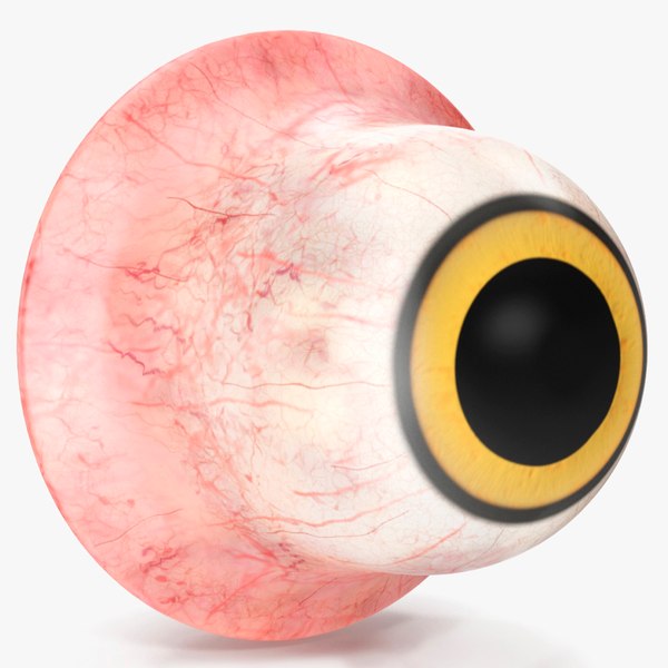 Free Blender Eye Models | TurboSquid