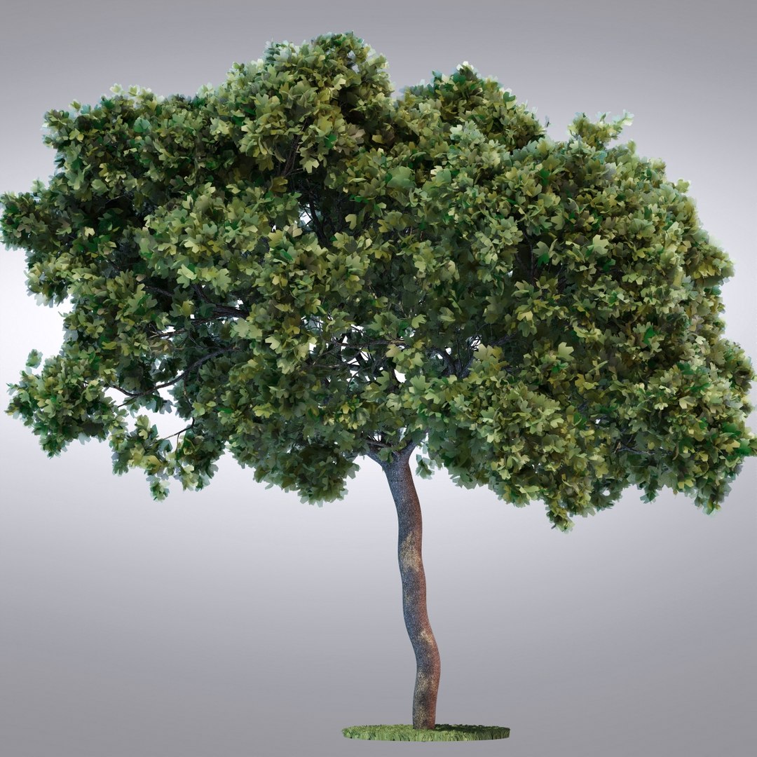 3ds max realistic tree