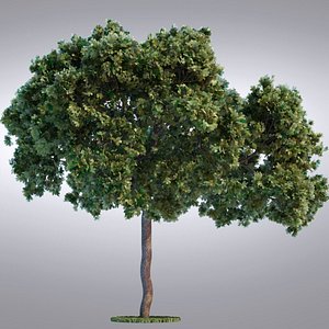 hi realistic series tree 3d model