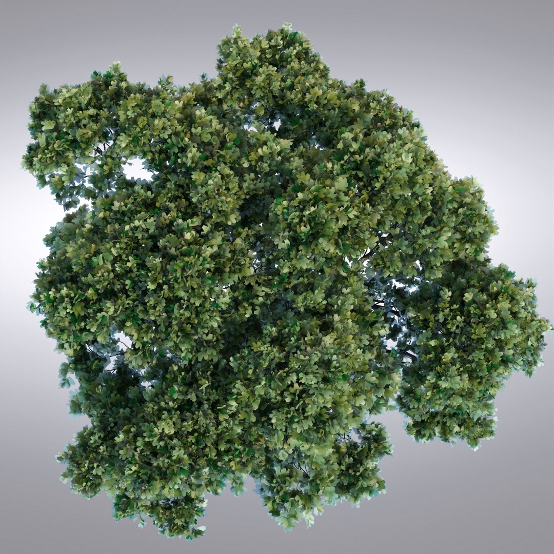 3ds max realistic tree