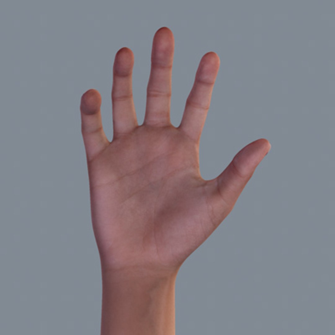 Hand Sub Surface Scatter 3d Ma