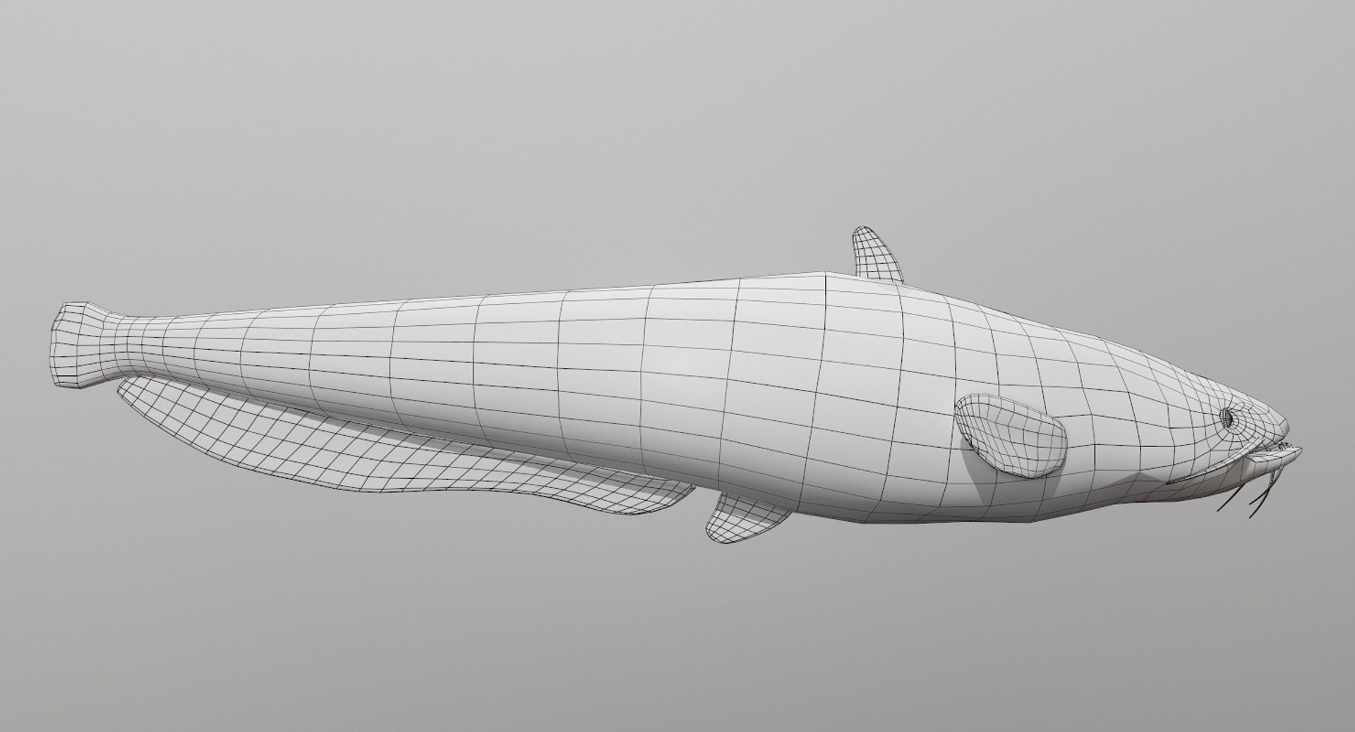 3D Model Ready Catfish - TurboSquid 1251580