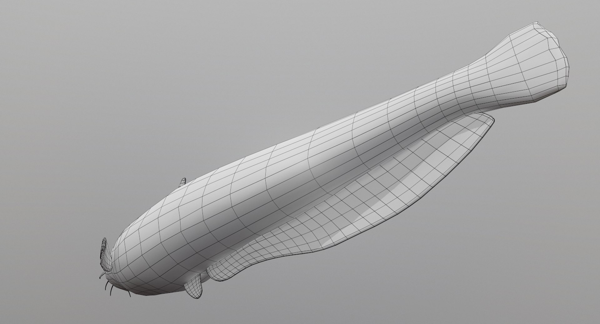 3D Model Ready Catfish - TurboSquid 1251580