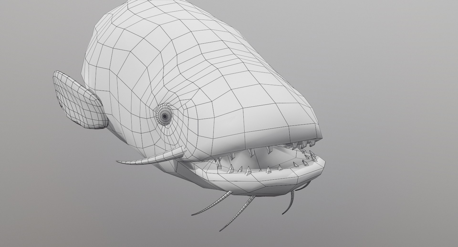 3D Model Ready Catfish - TurboSquid 1251580