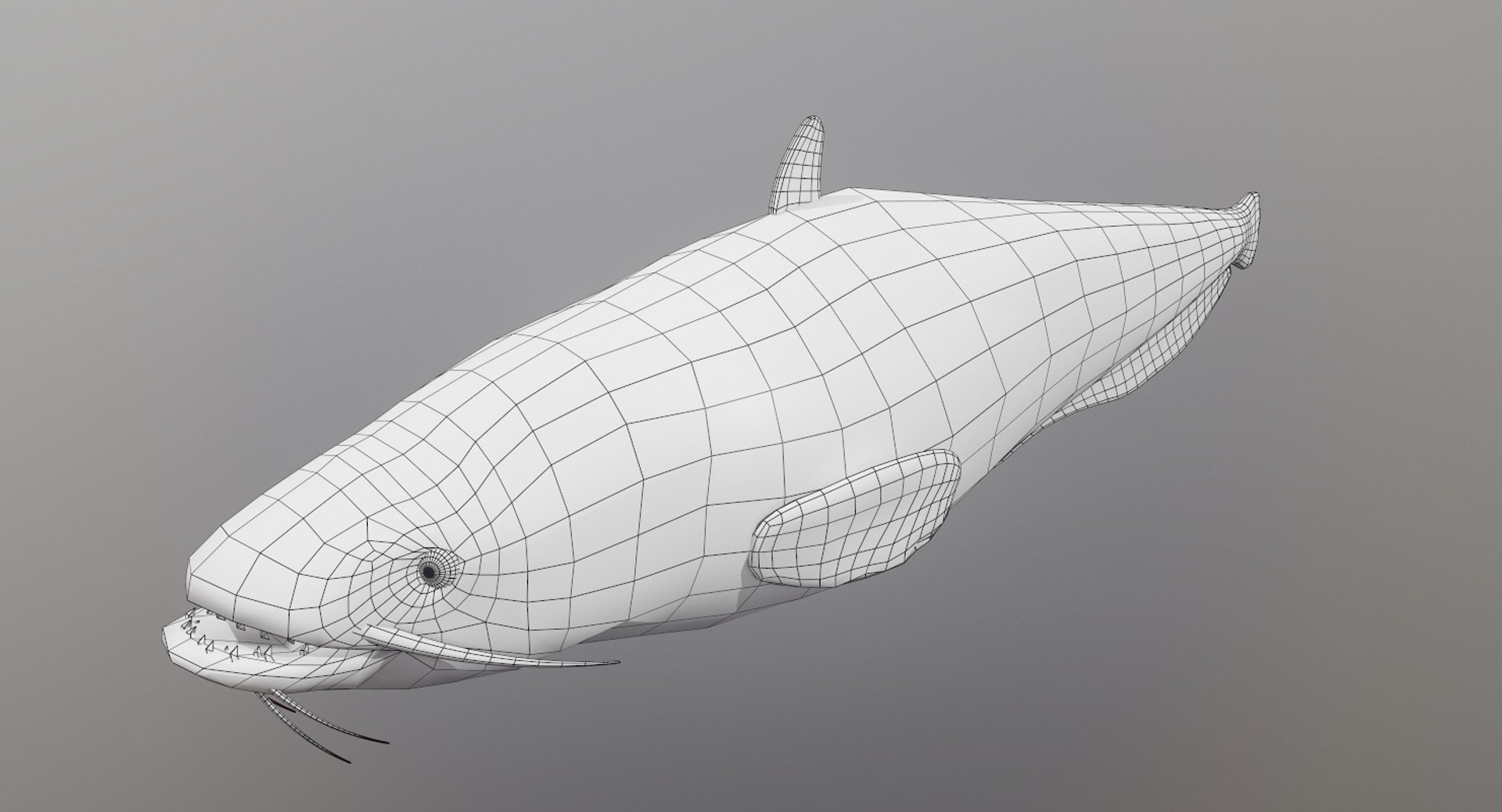 3D Model Ready Catfish - TurboSquid 1251580