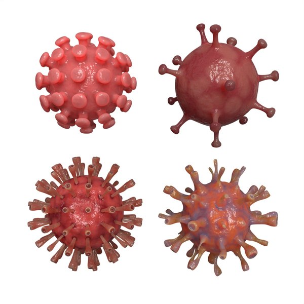 Simple coronavirus model - TurboSquid 1524309
