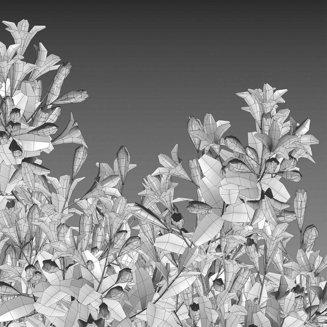 3D Weigela Florida 02 Model - TurboSquid 2396959