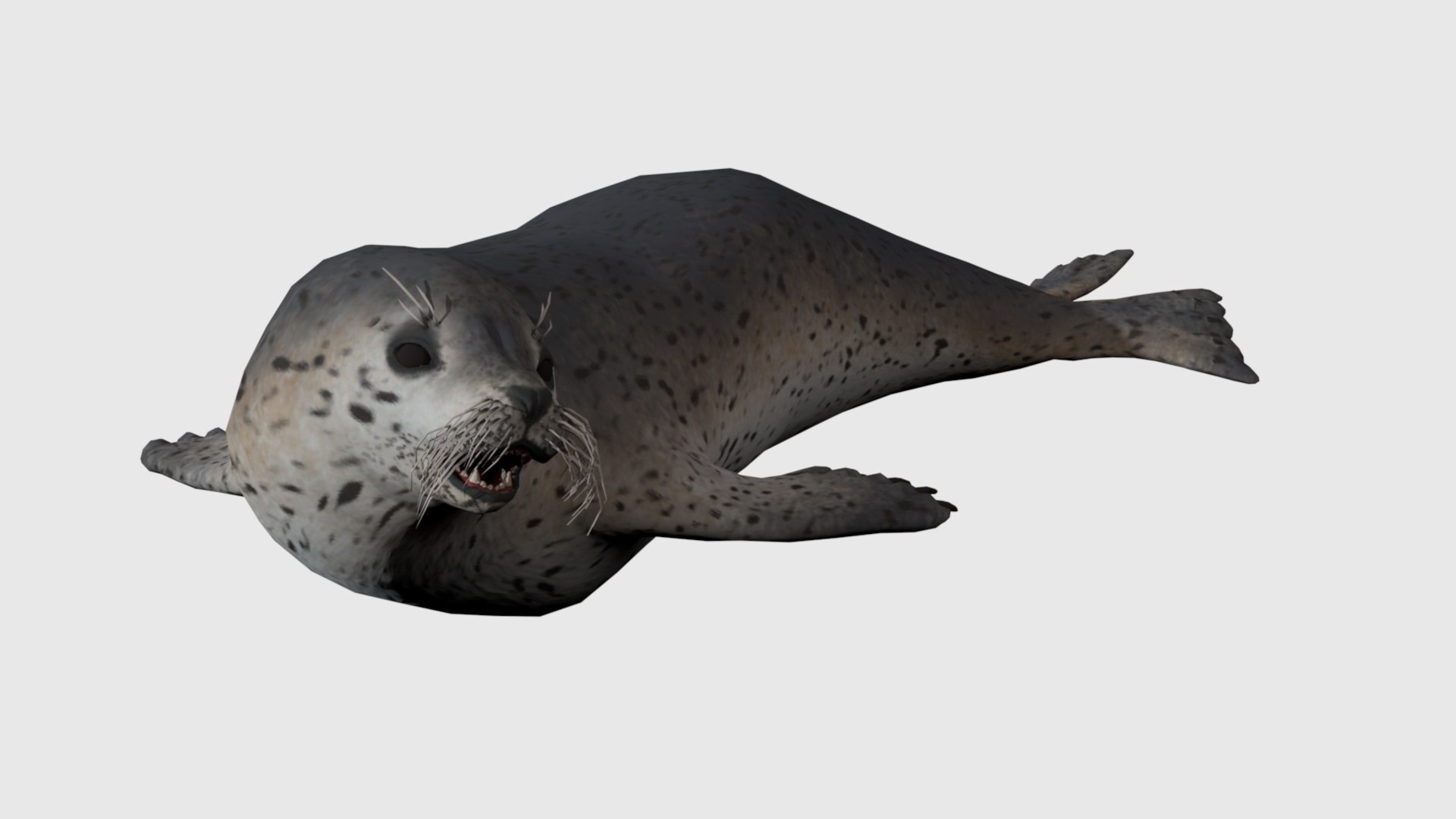 3D Seal Rigged And Animated - TurboSquid 2335784