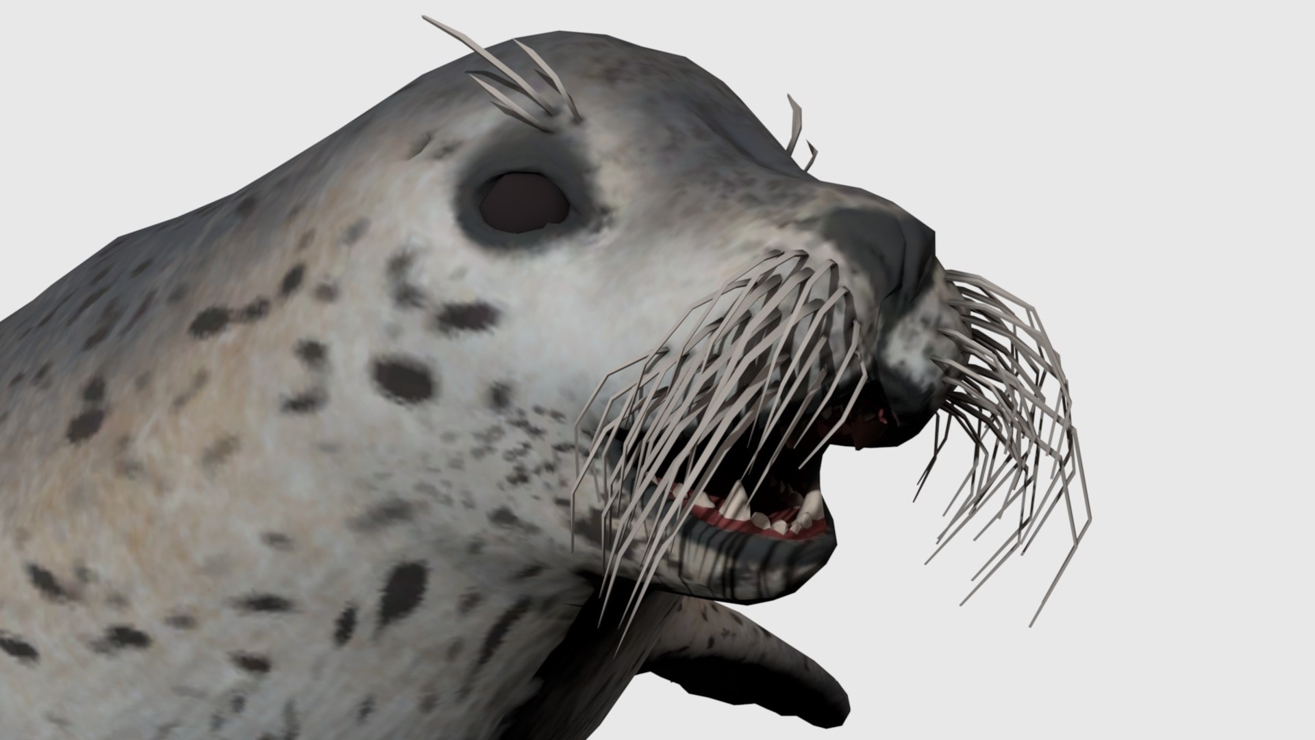 3D Seal Rigged And Animated - TurboSquid 2335784