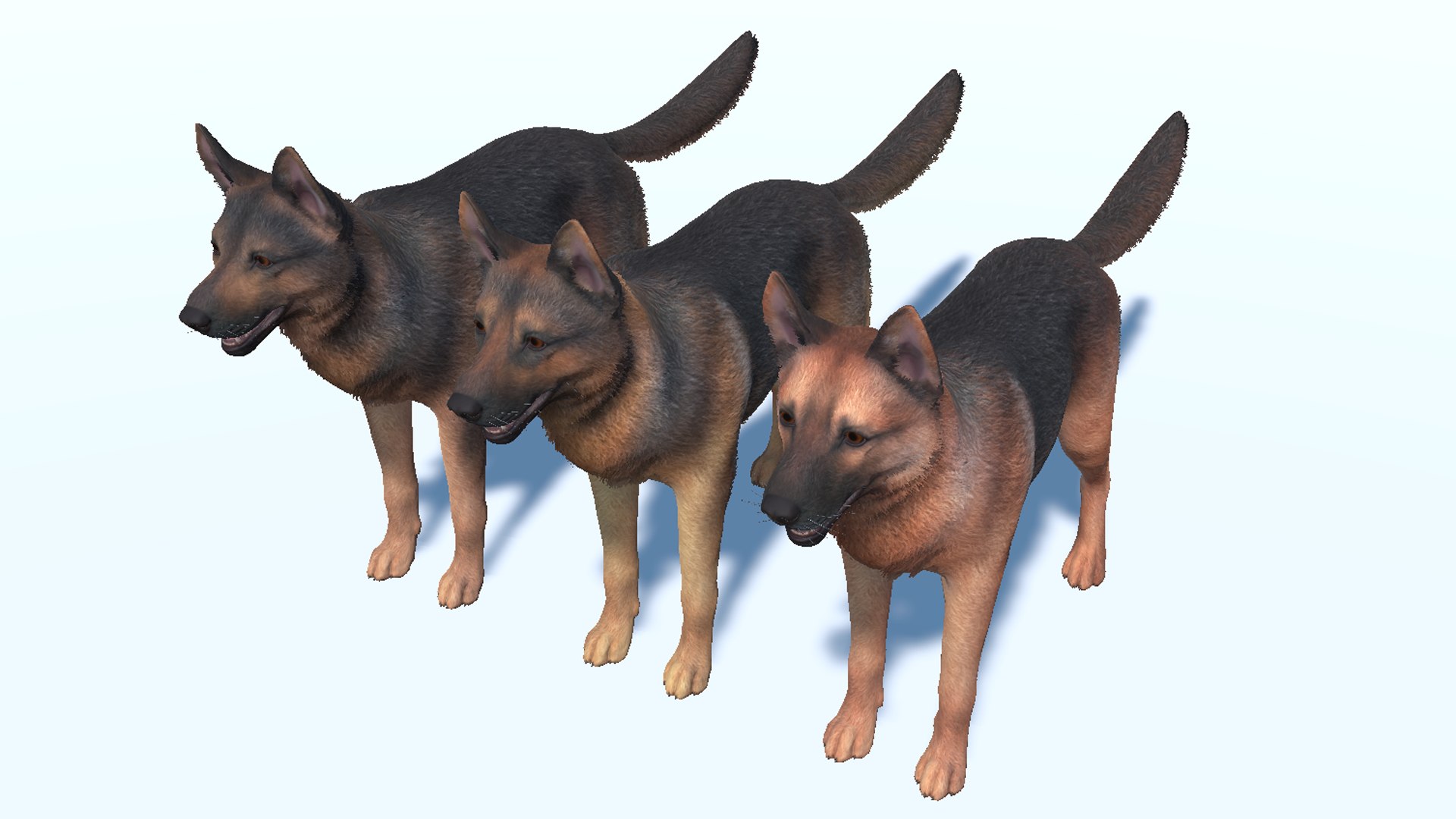 Dog - Shepherd 3D Model - TurboSquid 1748869