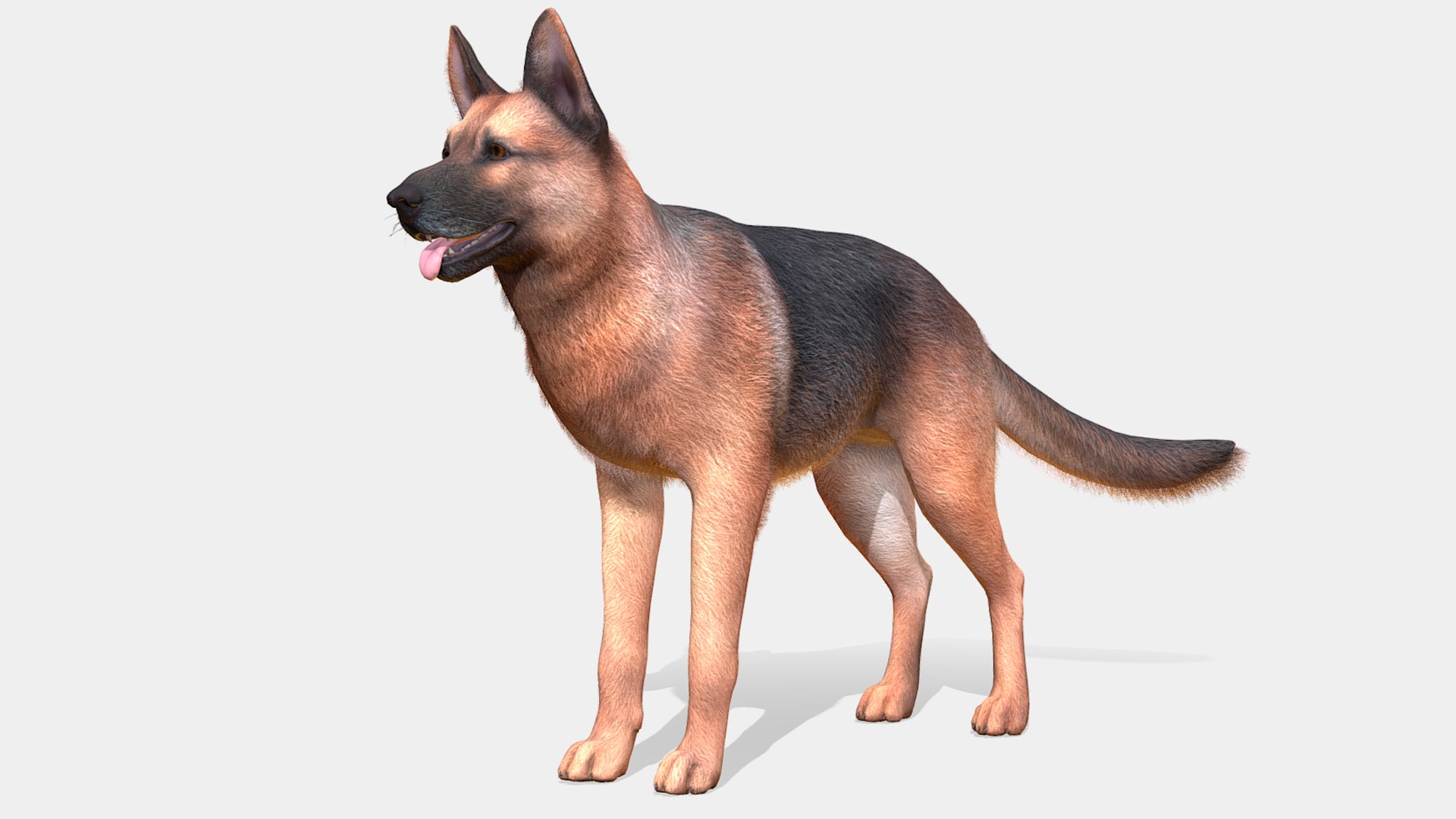 Dog - Shepherd 3D Model - TurboSquid 1748869