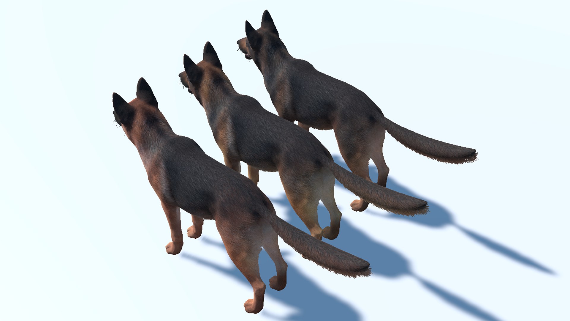 Dog - Shepherd 3D Model - TurboSquid 1748869