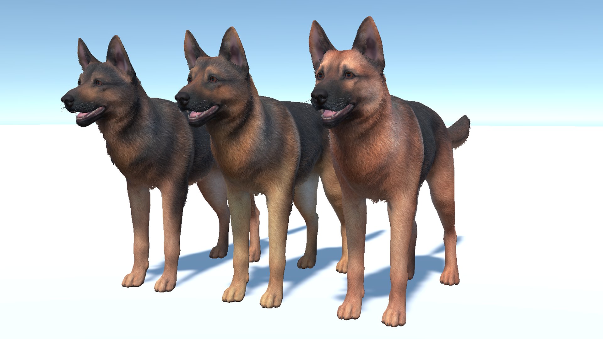 Dog - Shepherd 3D Model - TurboSquid 1748869