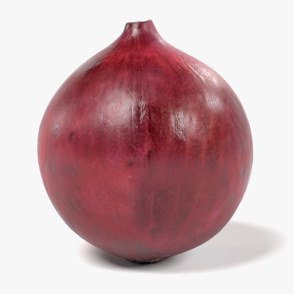 Red Onion Blender Models for Download | TurboSquid