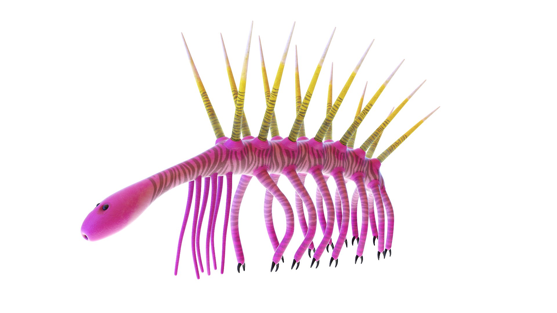Hallucigenia Animated 3D Model - TurboSquid 1772697