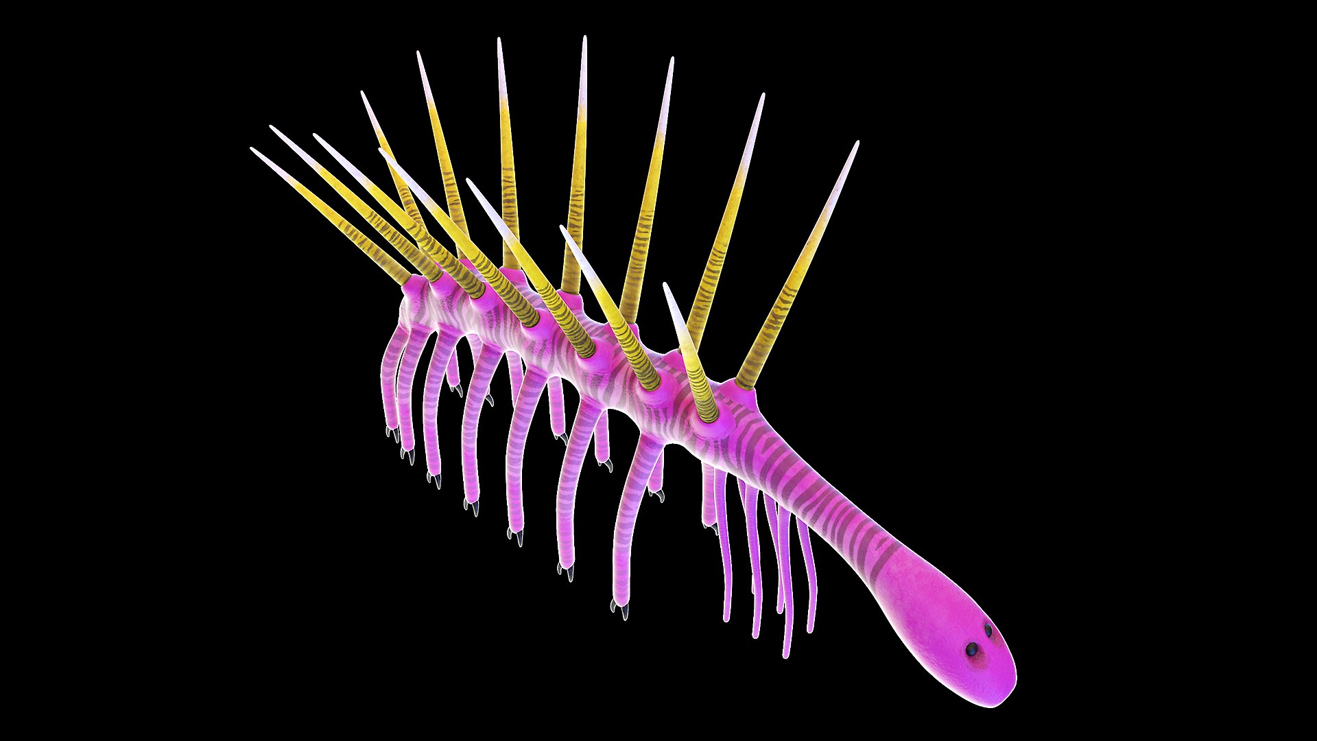 Hallucigenia Animated 3D Model - TurboSquid 1772697