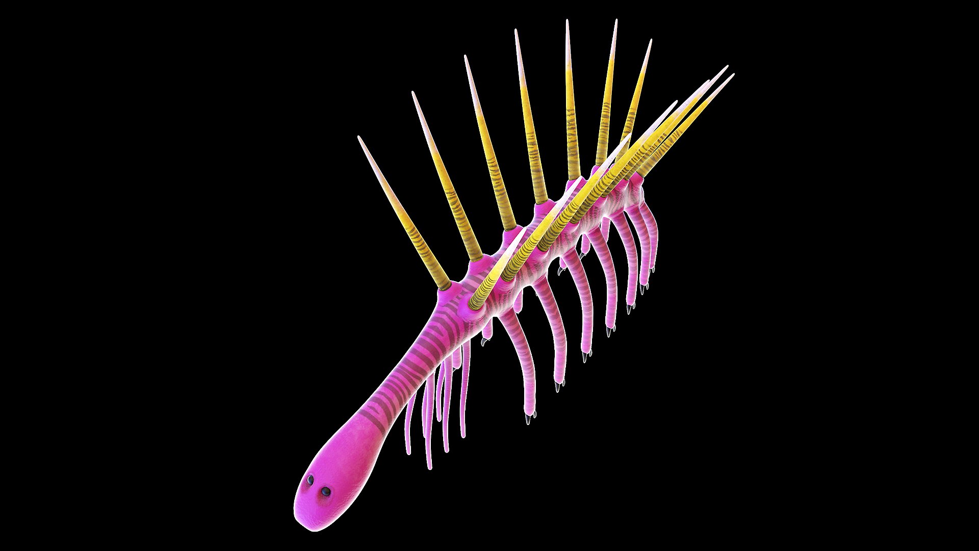 Hallucigenia Animated 3D Model - TurboSquid 1772697
