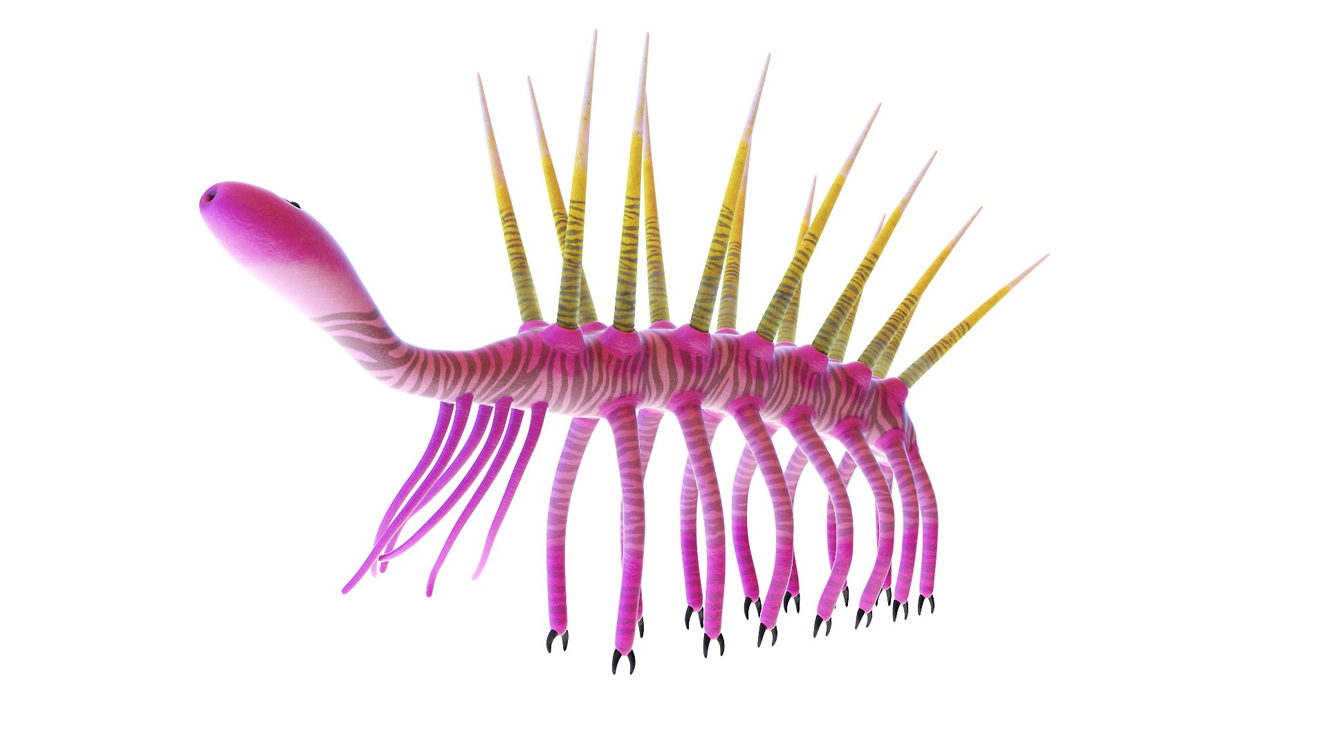 Hallucigenia Animated 3D Model - TurboSquid 1772697