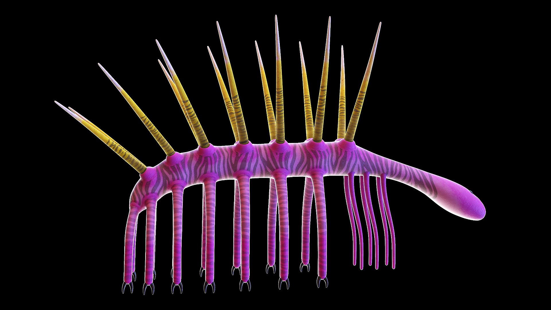 Hallucigenia Animated 3D Model - TurboSquid 1772697