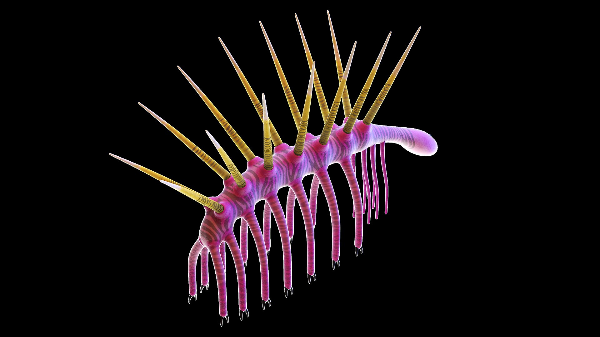 Hallucigenia Animated 3D Model - TurboSquid 1772697