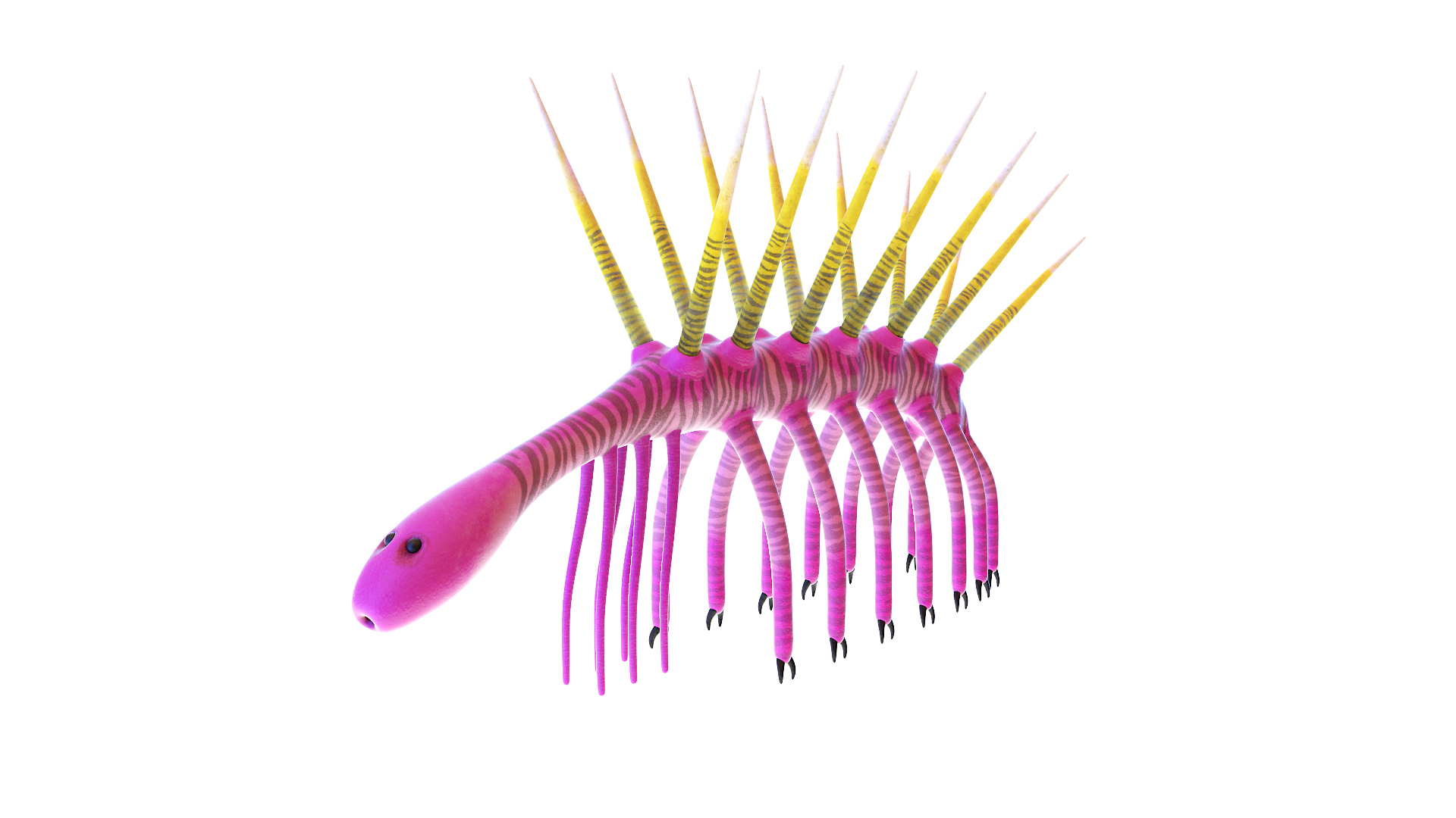 Hallucigenia Animated 3D Model - TurboSquid 1772697