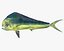 3d Fishing Amberjack Barracuda