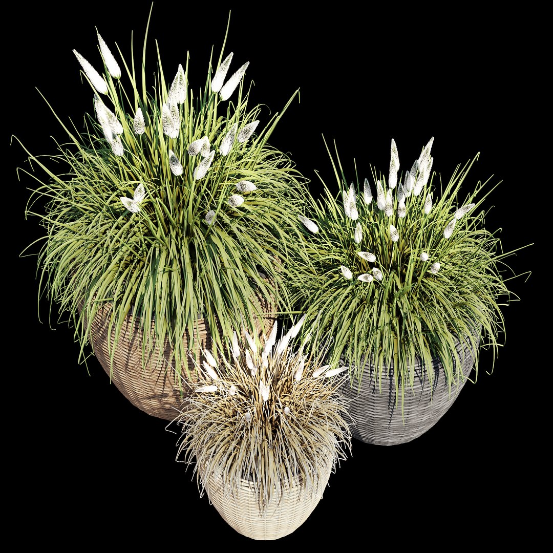 Powder Grass 3D - TurboSquid 1920410