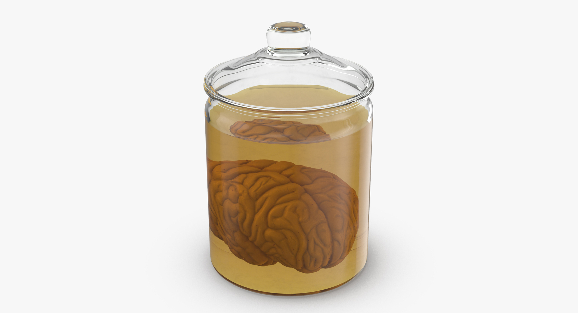 3d vintage organ jars model