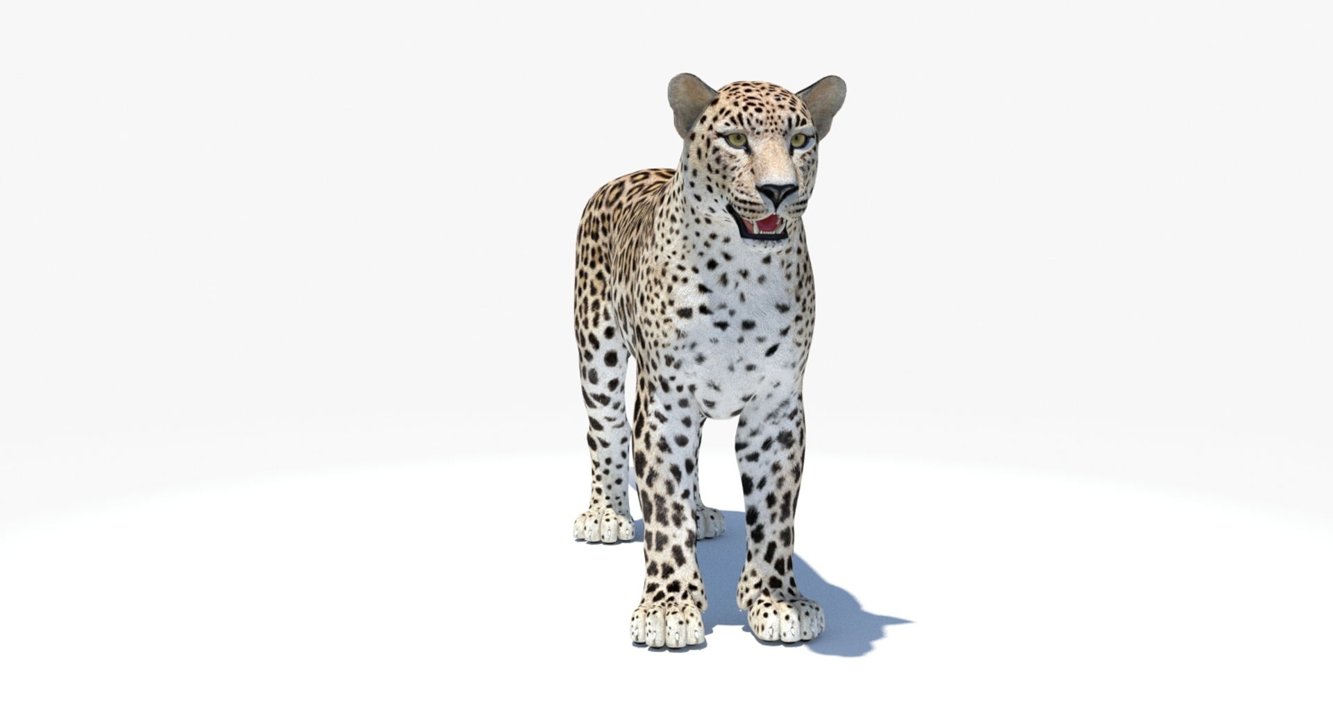 3d Model Persian Leopard
