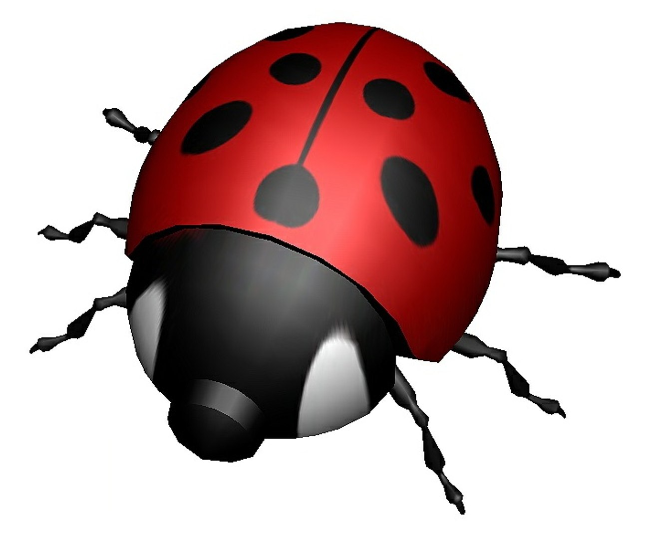 3D Lady Bug - TurboSquid 1260432