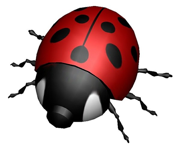 3D lady bug - TurboSquid 1260432