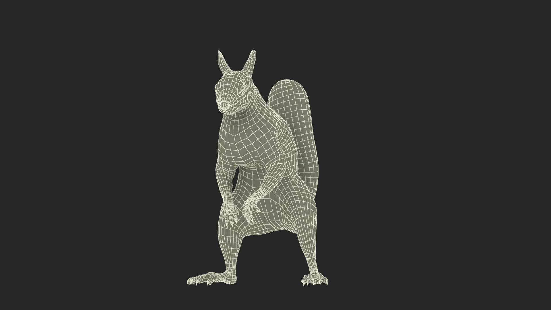 Squirrel Standing Gray Fur 3D Model - TurboSquid 2342624