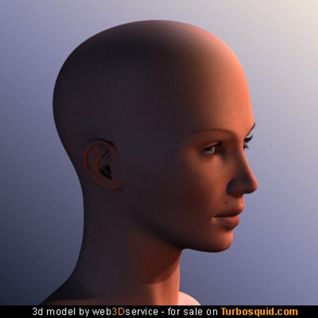 Beautiful Female Head Skin 3d Model