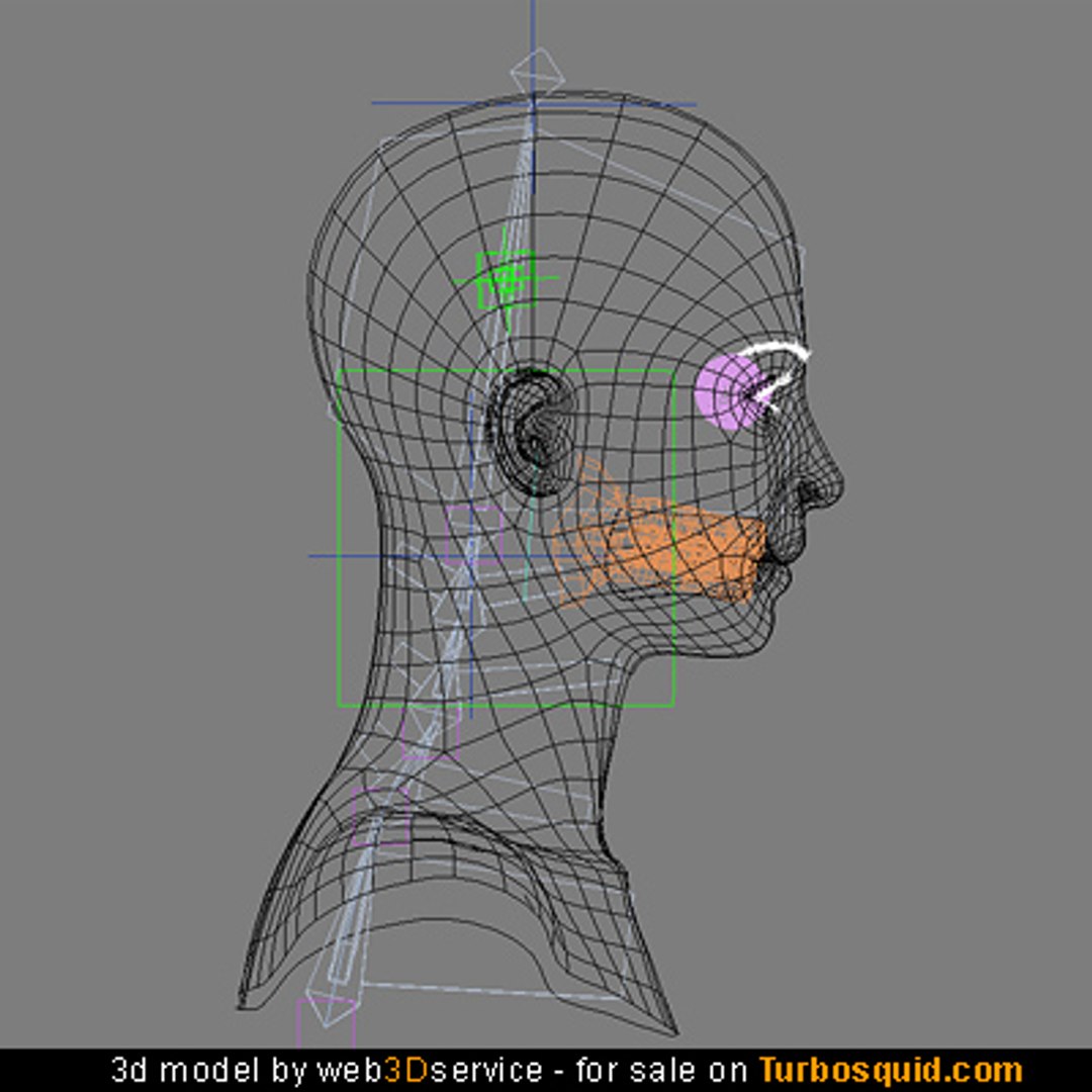 Beautiful Female Head Skin 3d Model