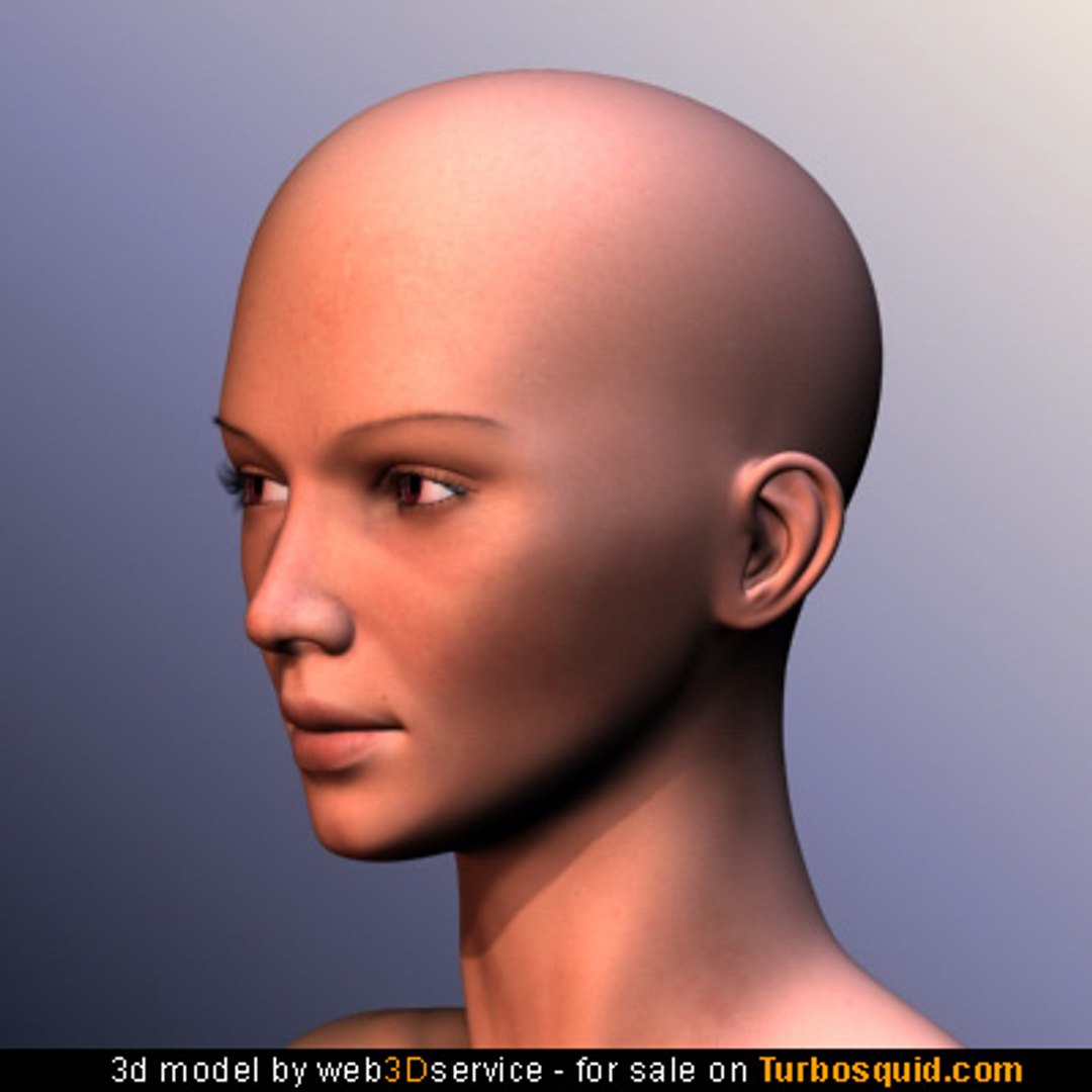 Beautiful Female Head Skin 3d Model